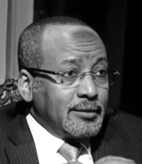 Who is Hadi Muhammad Al-Tijani? | Profile | Manhom