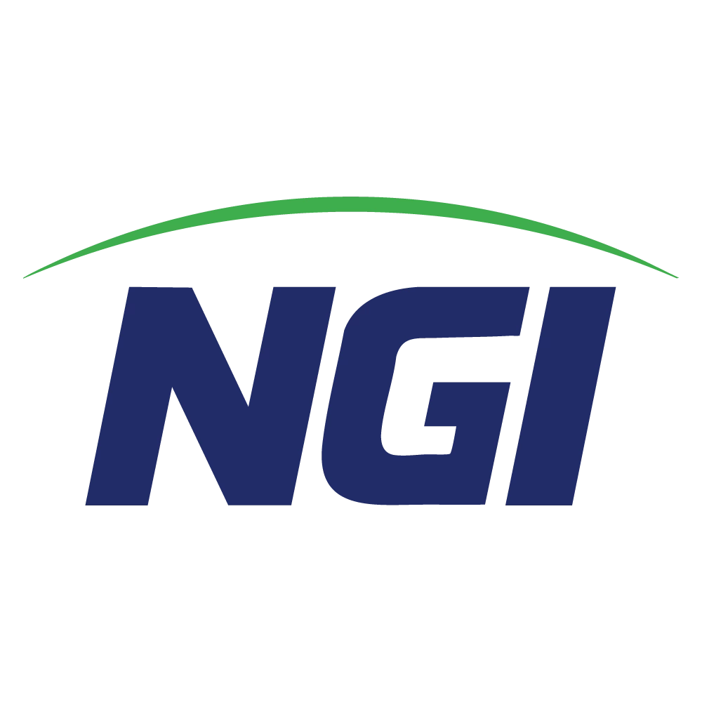 National General Insurance Co.? | Company Profile | Manhom
