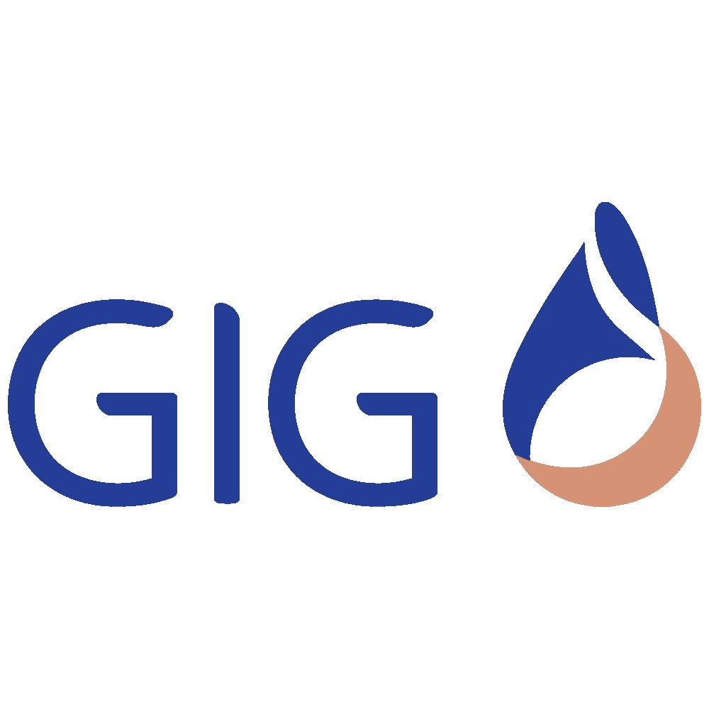 Gulf Insurance Group - GIG? | Company Profile | Manhom